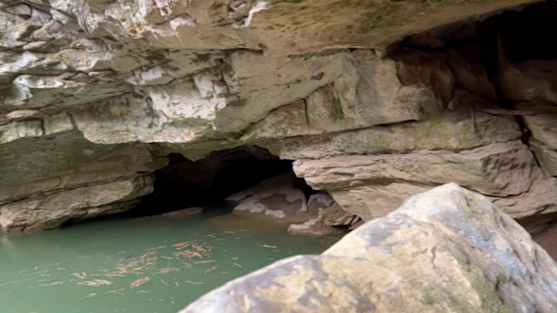 Devilstep Hollow - Tennessee's Wild Side